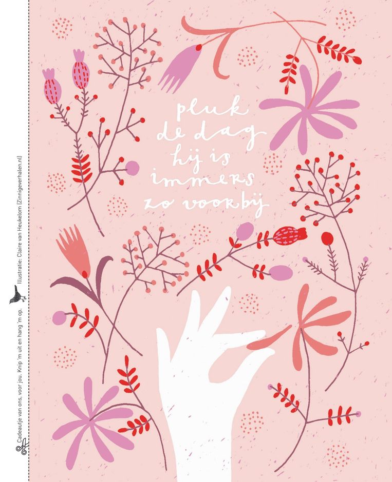 Pluk de dag hij is immers zo voorbij - Flair - Voor jou, over jou