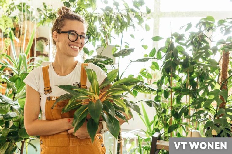 Planten in balans laten groeien doe je zo